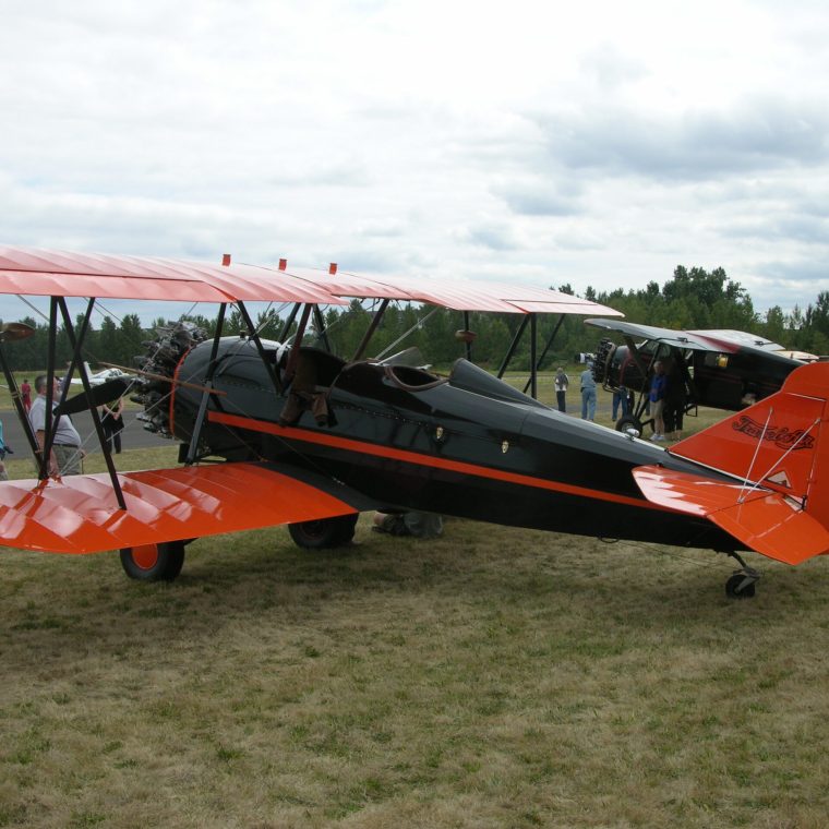 A Wild Goose Chase – Old Structures Engineering