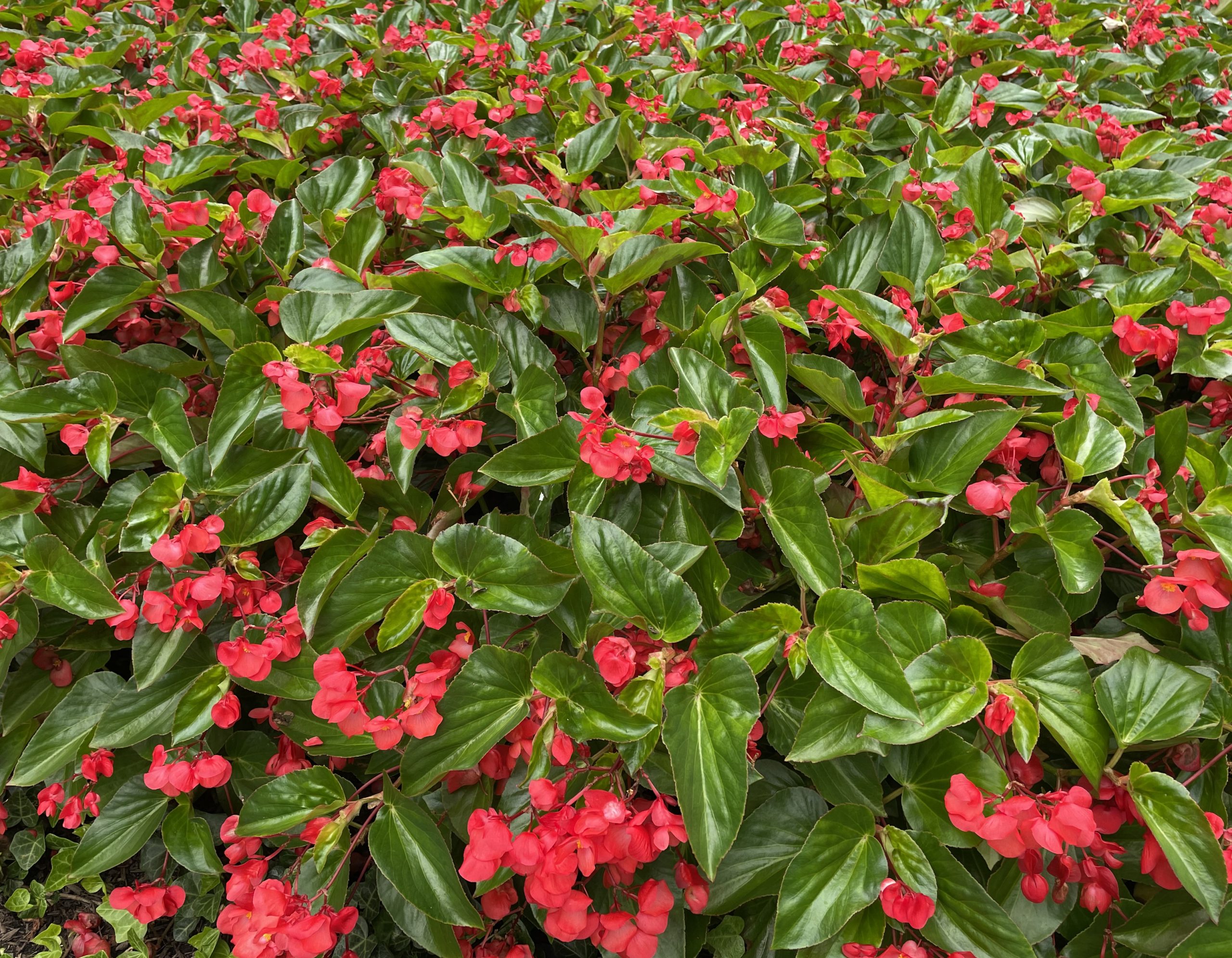 Apt, Again – Old Structures Engineering