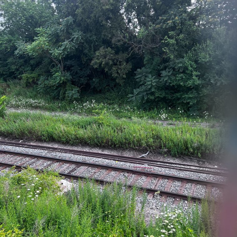A Ghost Rail Line, Possibly To Come Back To Life – Old Structures ...