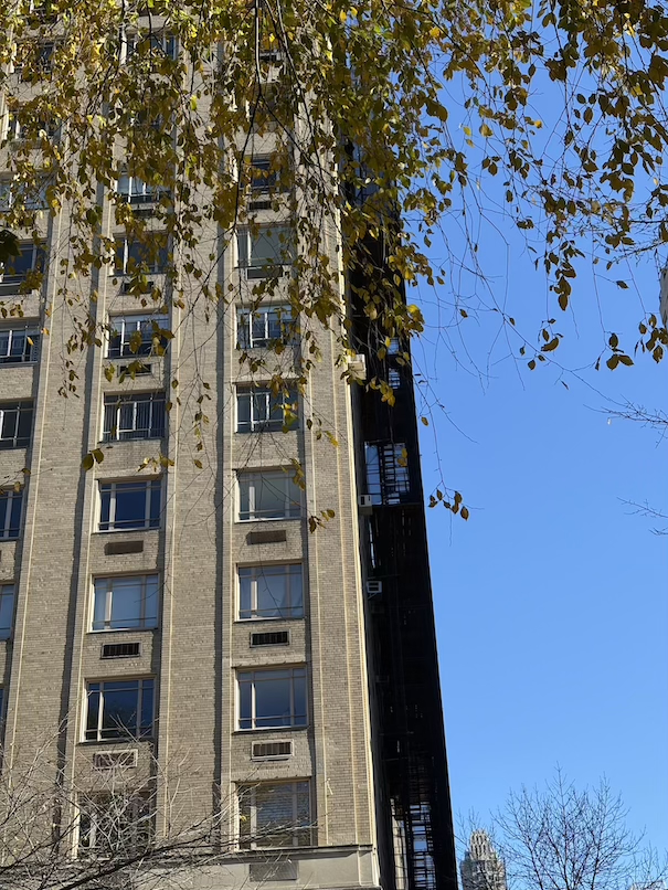 Raking Light Is Your Friend – Old Structures Engineering